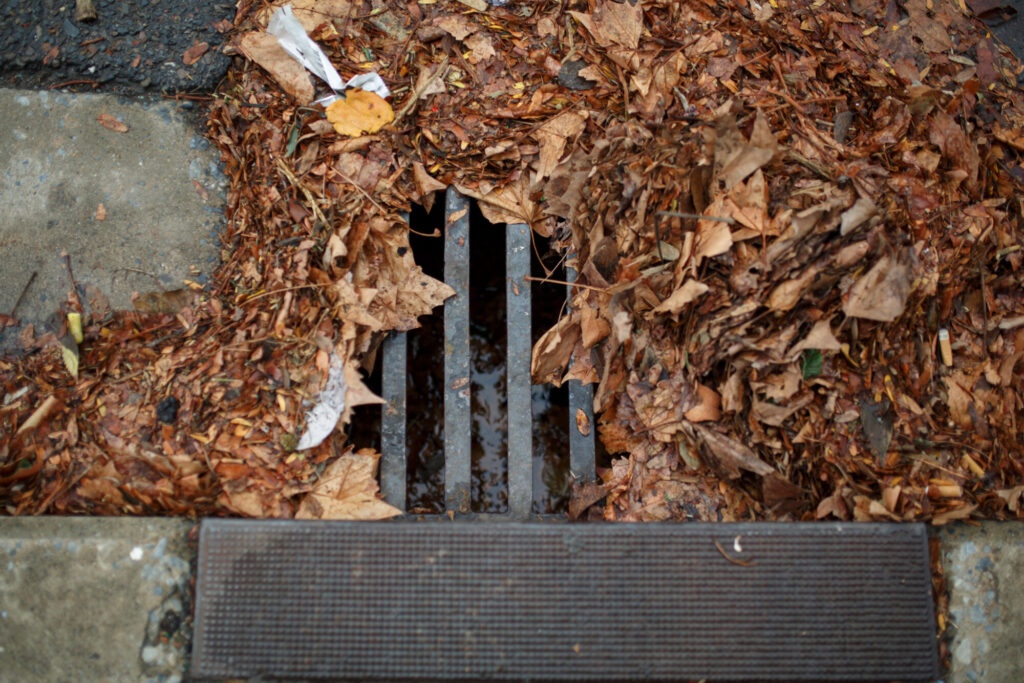 How to stop leaves blocking drains | Help & Advice | EDS